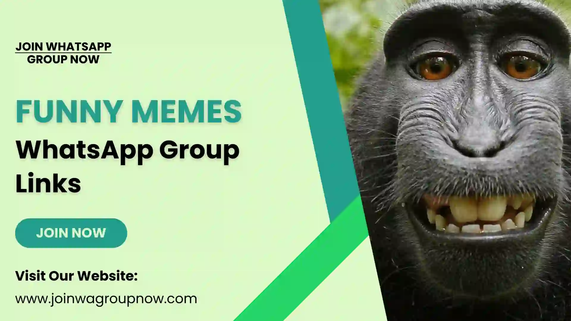 Funny Memes WhatsApp Group Links (Join in 2026)